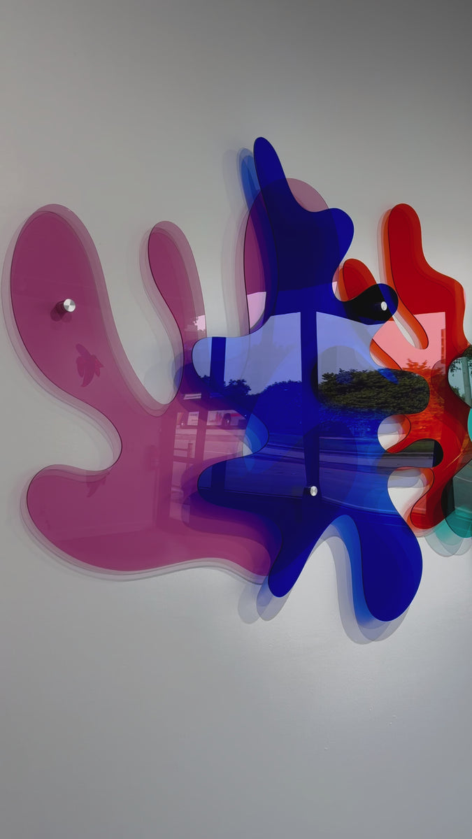 Corals Transparent Acrylic Art Wall Sculpture 3D Decor buy at the best ...